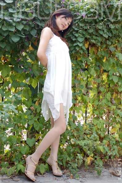 dsc 0052 | （福妹）主题相册